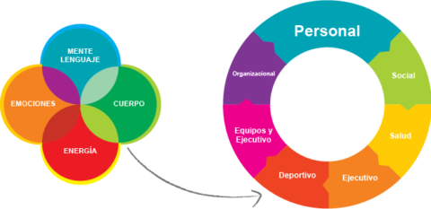 QUÉ SON LAS CREENCIAS LIMITANTES Y COMO SE TRANSFORMAN CON COACHING ...